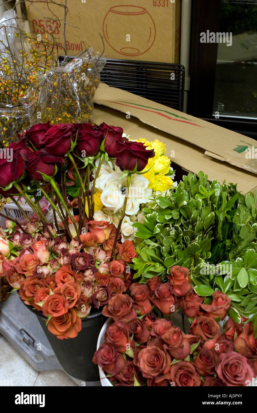 The Workroom High Resolution Stock Photography and Images - Alamy