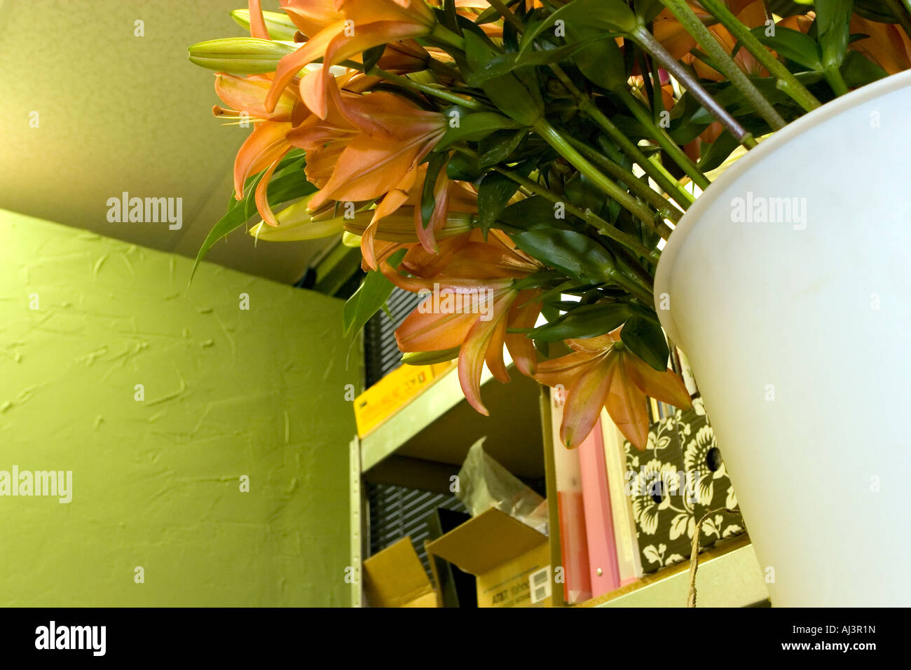 Orange daylilies in bucket in florist workroom Stock Photo - Alamy