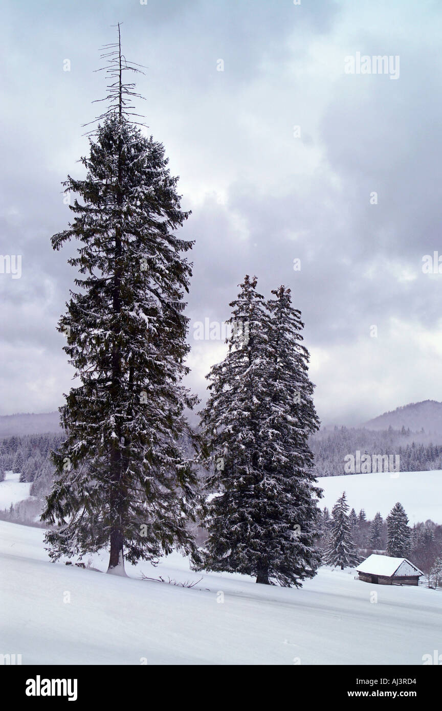 Muranska planina mountains in hi-res stock photography and images - Alamy