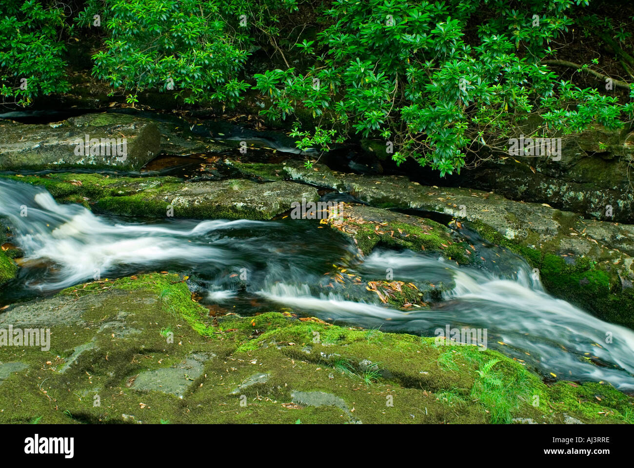 River Avon, Dartmoor, Devon, England Stock Photo - Alamy
