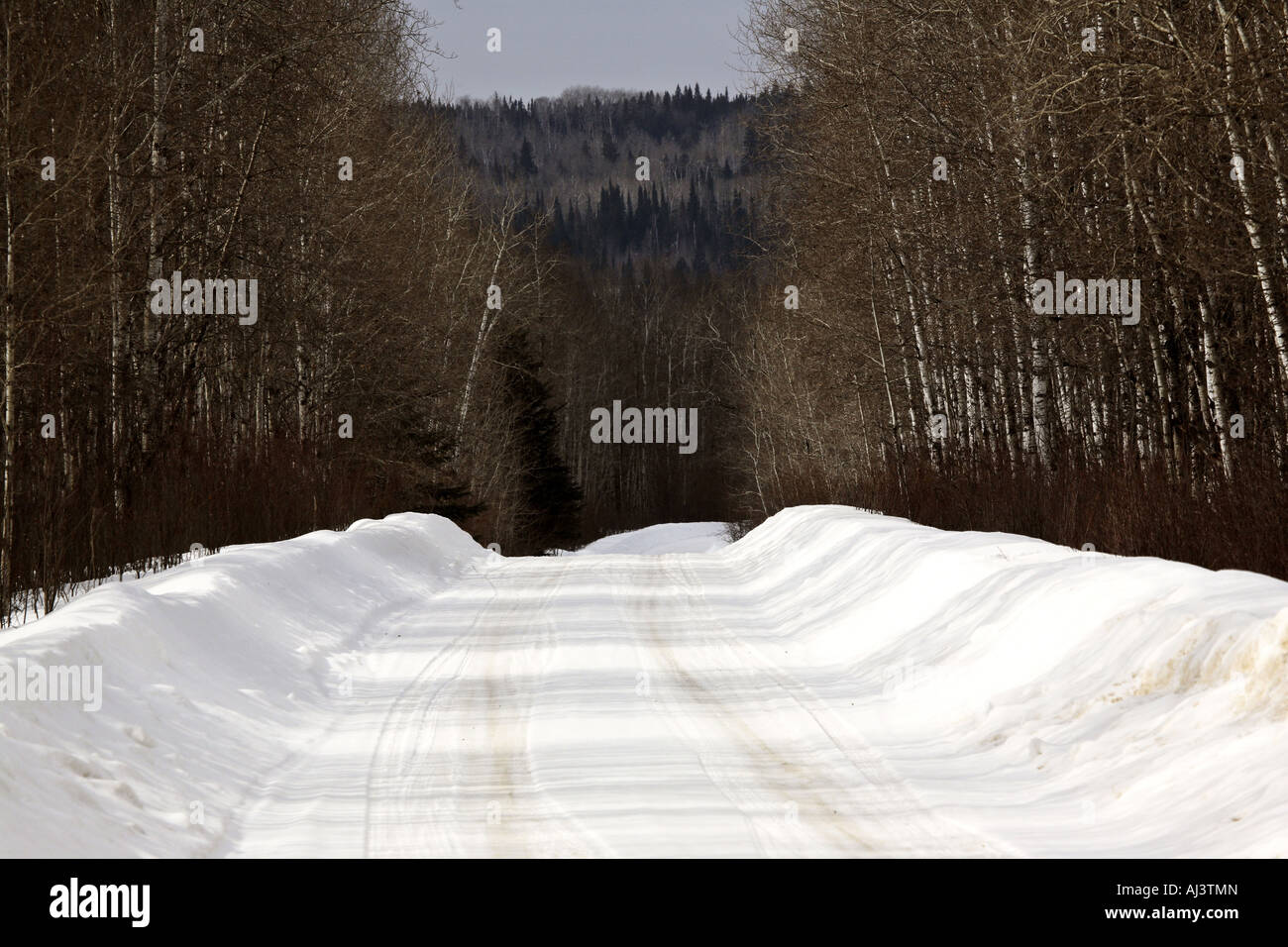 Snow covered logging road hi-res stock photography and images - Alamy