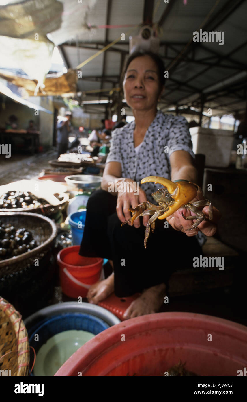 Vietnam fisheries commercial hi-res stock photography and images - Alamy