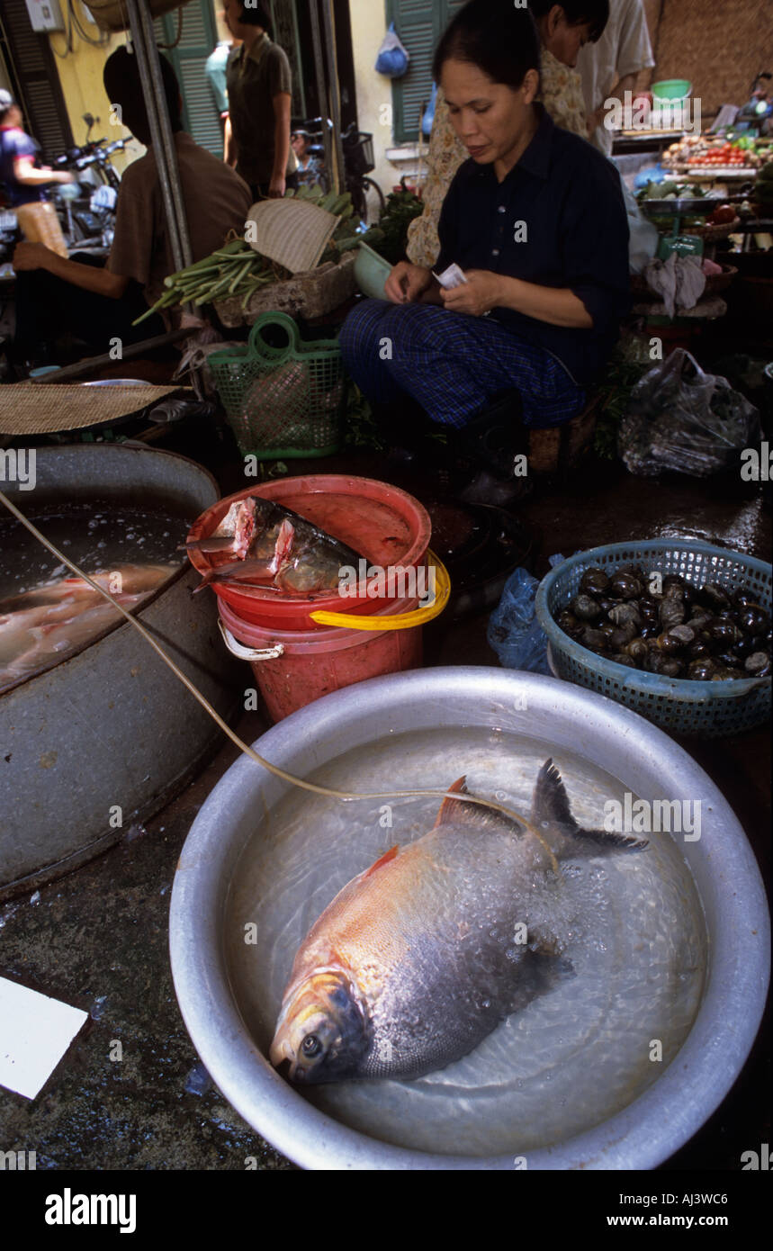 Hanoi wet market hi-res stock photography and images - Alamy