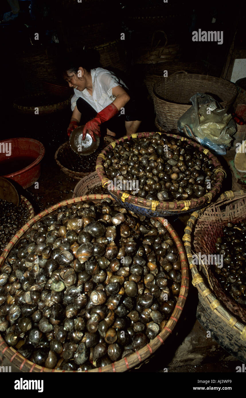 Hanoi wet market hi-res stock photography and images - Alamy