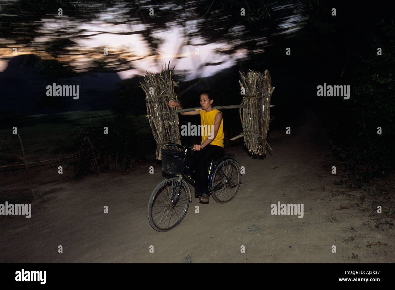Collecting fuelwood Van Long Nature Reserve Vietnam Villagers enter the ...