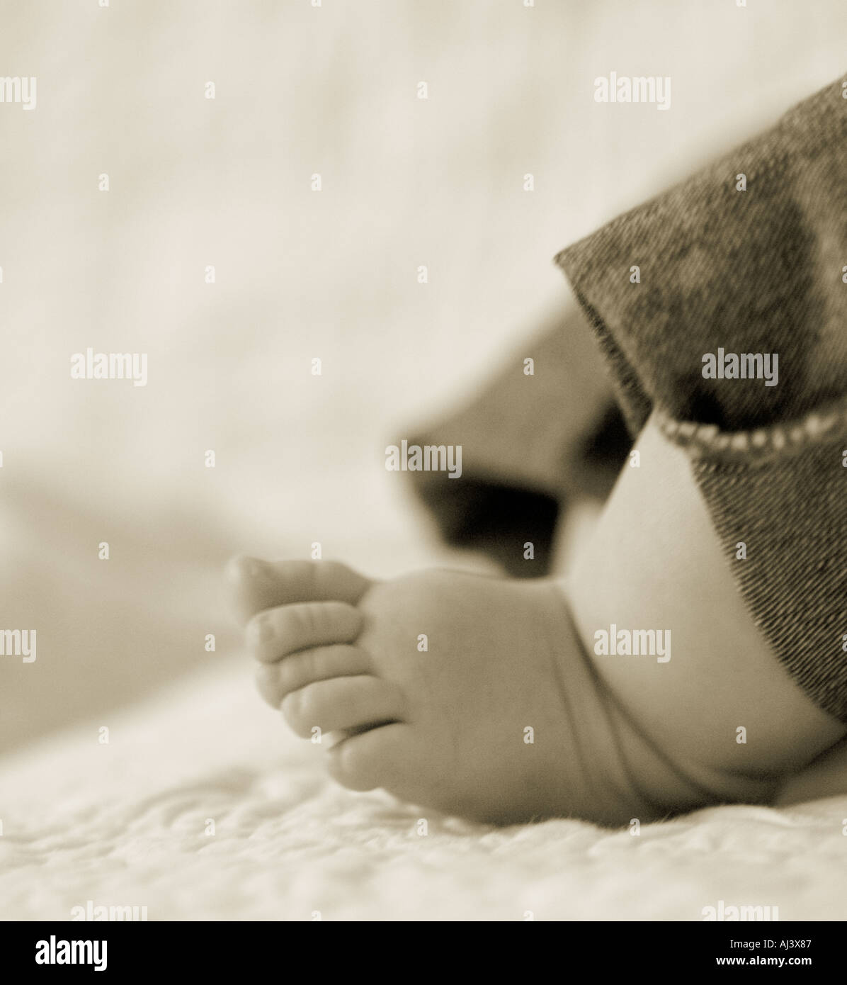 Feet and toes of 7 month old baby girl Stock Photo - Alamy