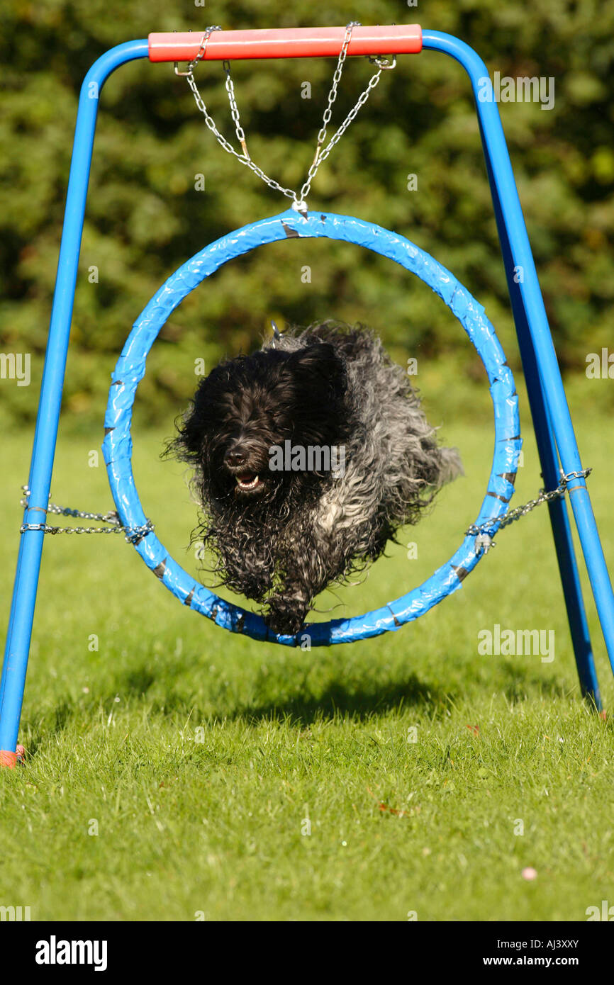 Through tire hi-res stock photography and images - Alamy