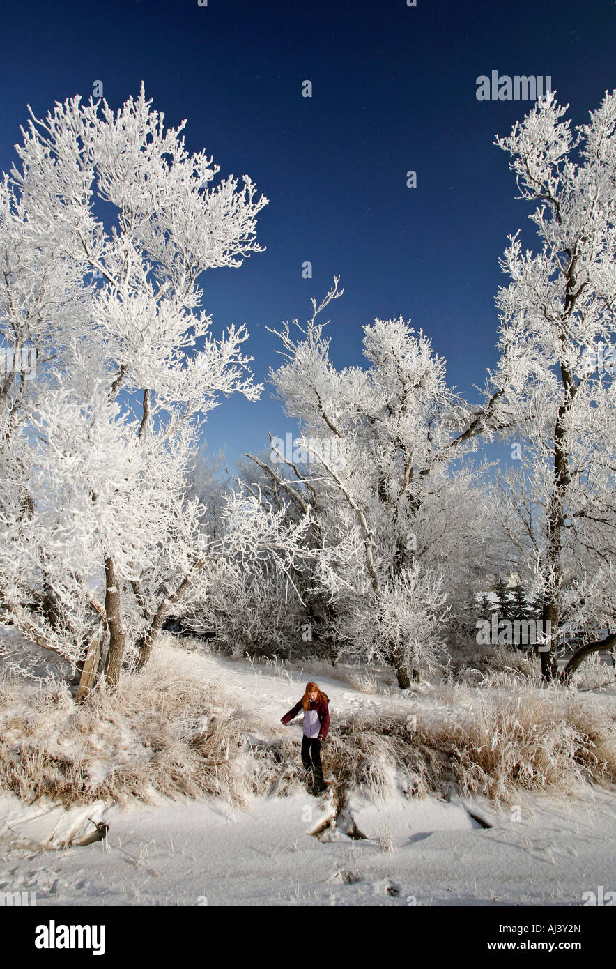 Girl enjoying the winter outdoors Stock Photo - Alamy