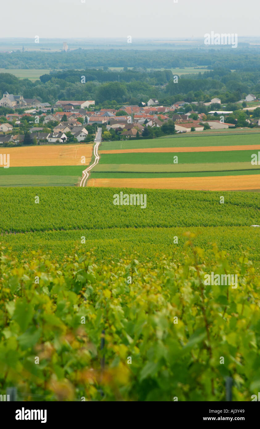 Chouilly hi-res stock photography and images - Alamy