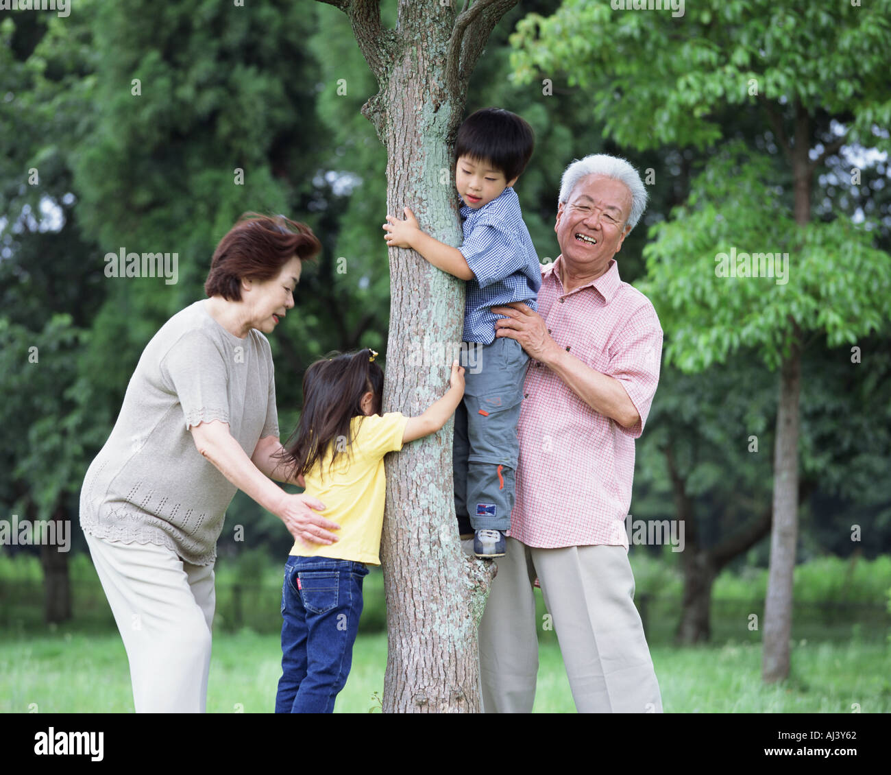 Asian boy climbing tree hi-res stock photography and images - Alamy