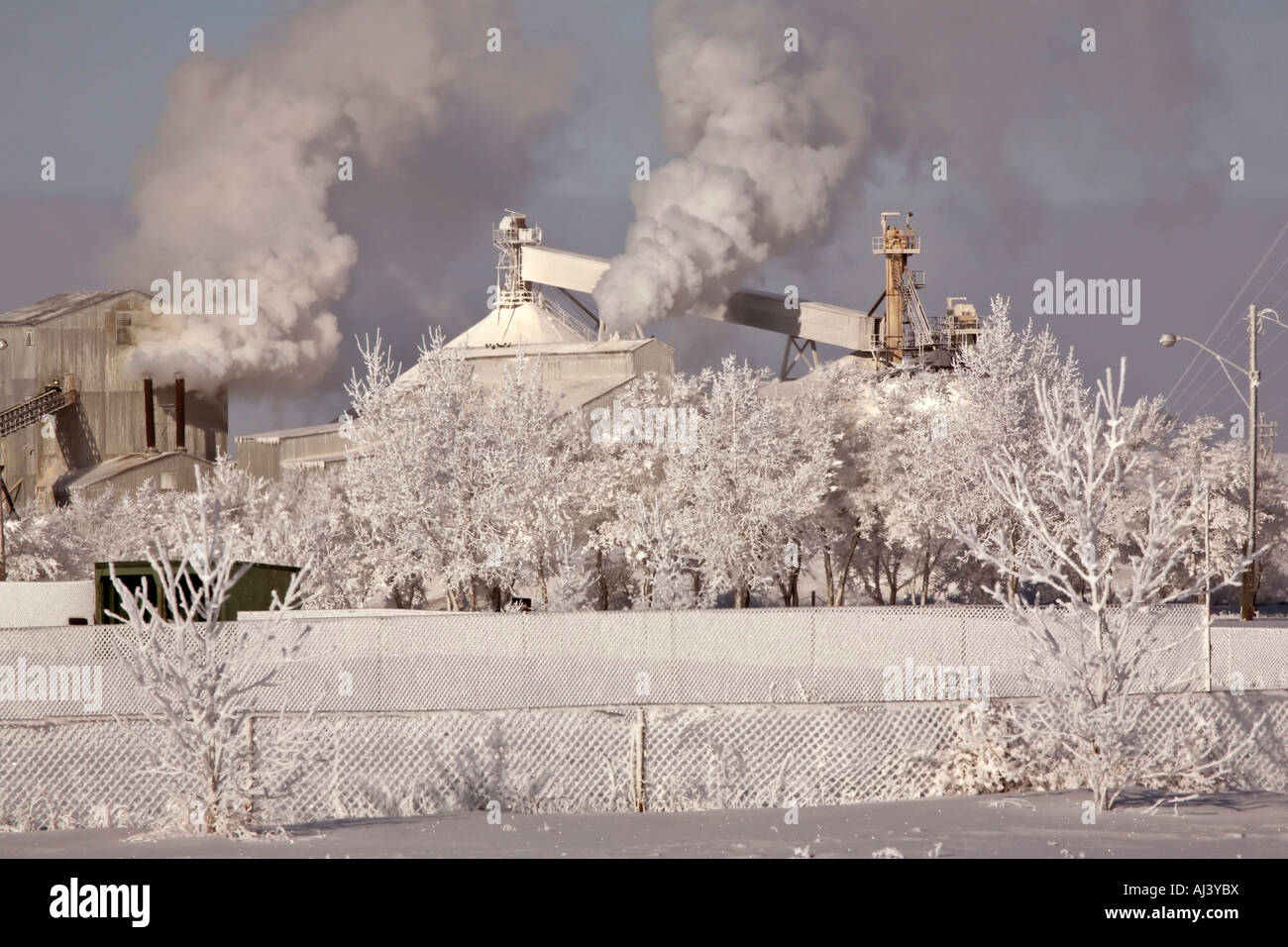 Seed cleaning hi-res stock photography and images - Alamy
