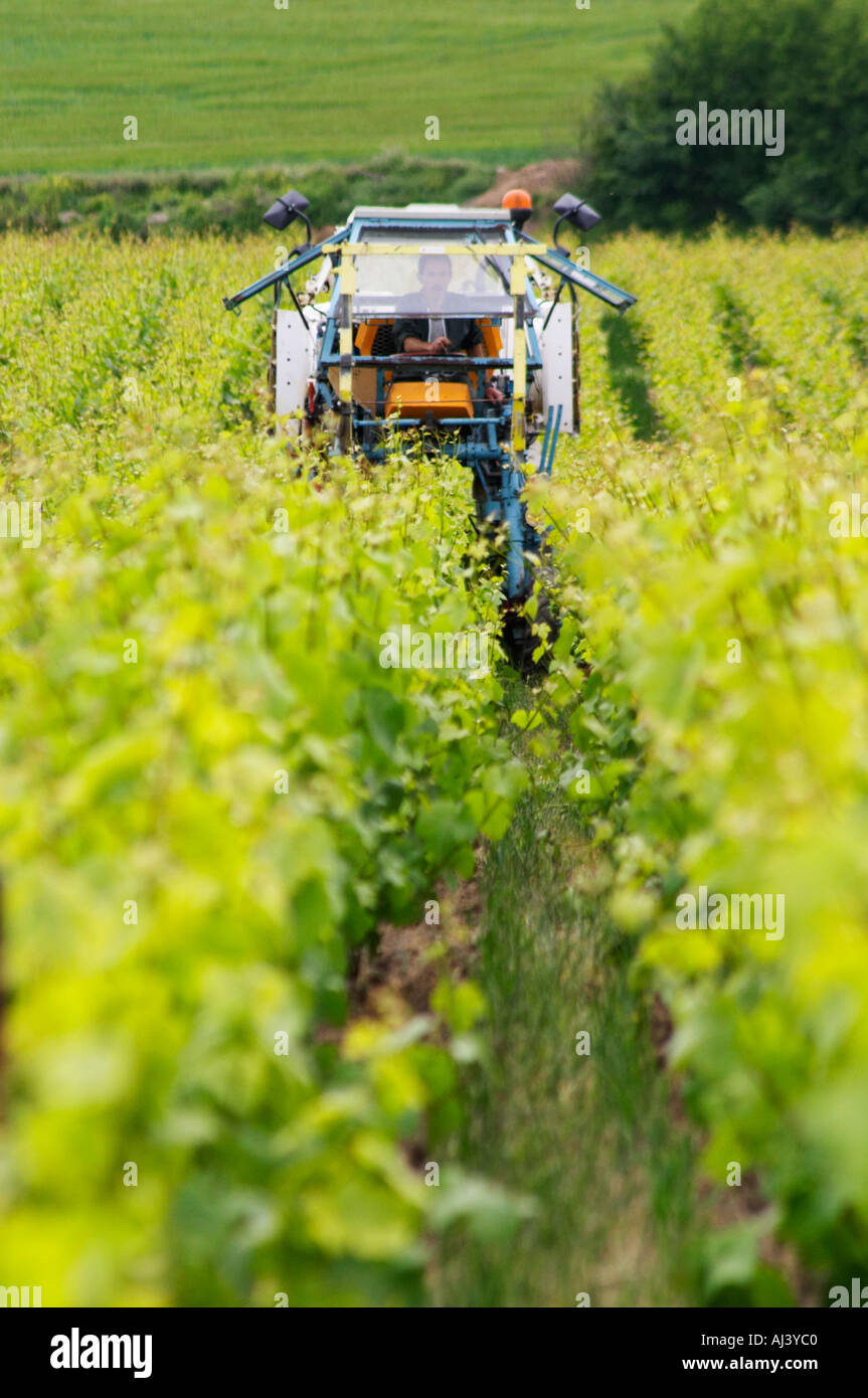 Mechanical weed hi-res stock photography and images - Alamy