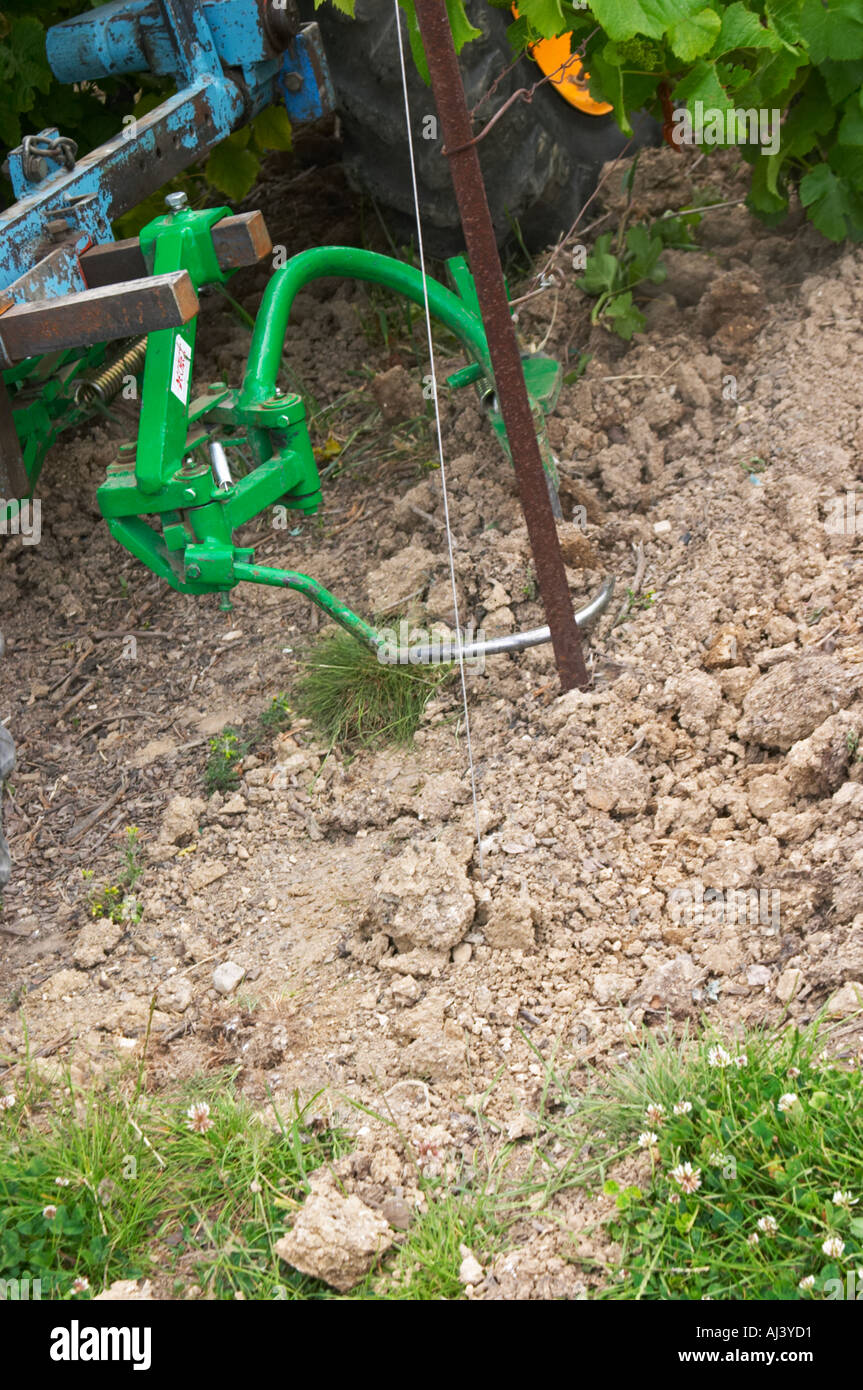 A vineyard tractor equipped with knifes to mechanically cut off remove ...