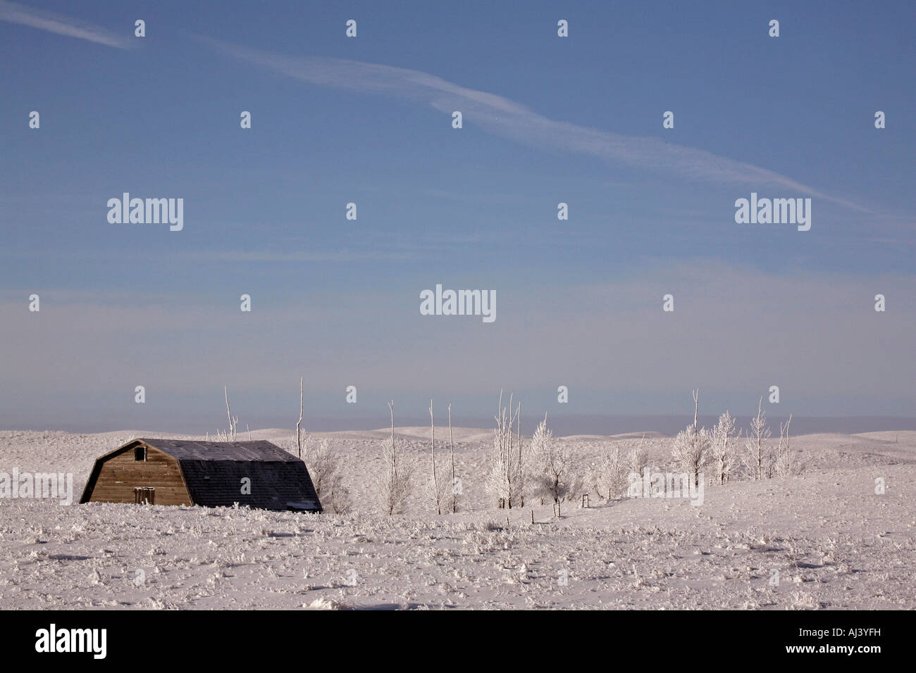 Saskatchewan winter scene Stock Photo - Alamy