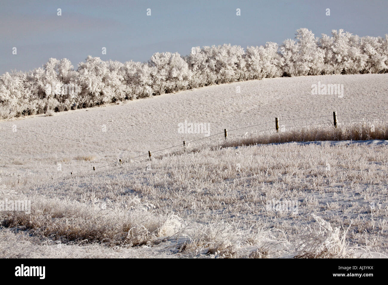 Saskatchewan winter scene Stock Photo - Alamy