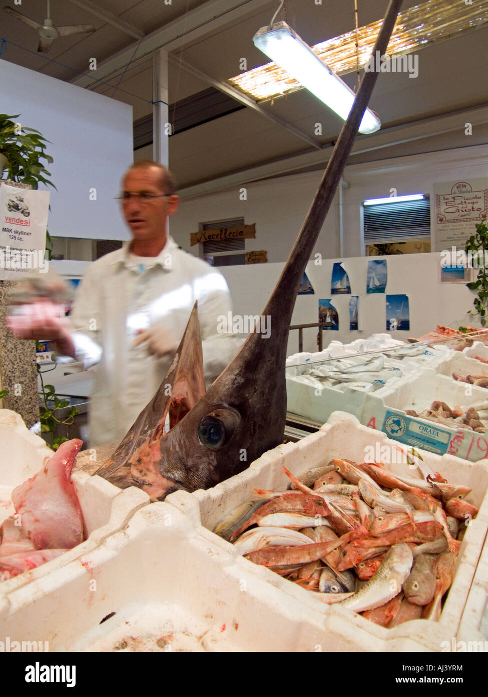 Alghero fish hi-res stock photography and images - Alamy
