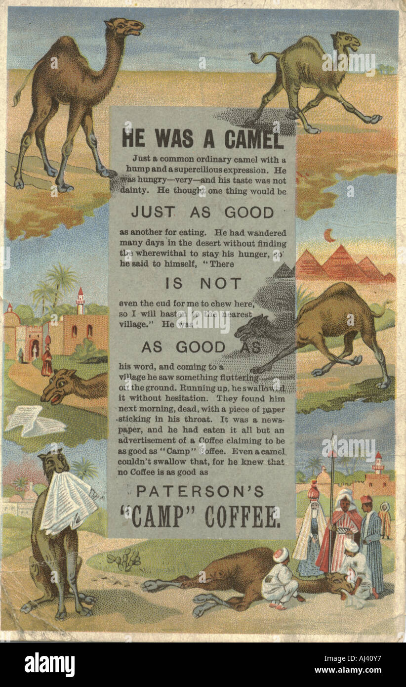 Camel Coffee