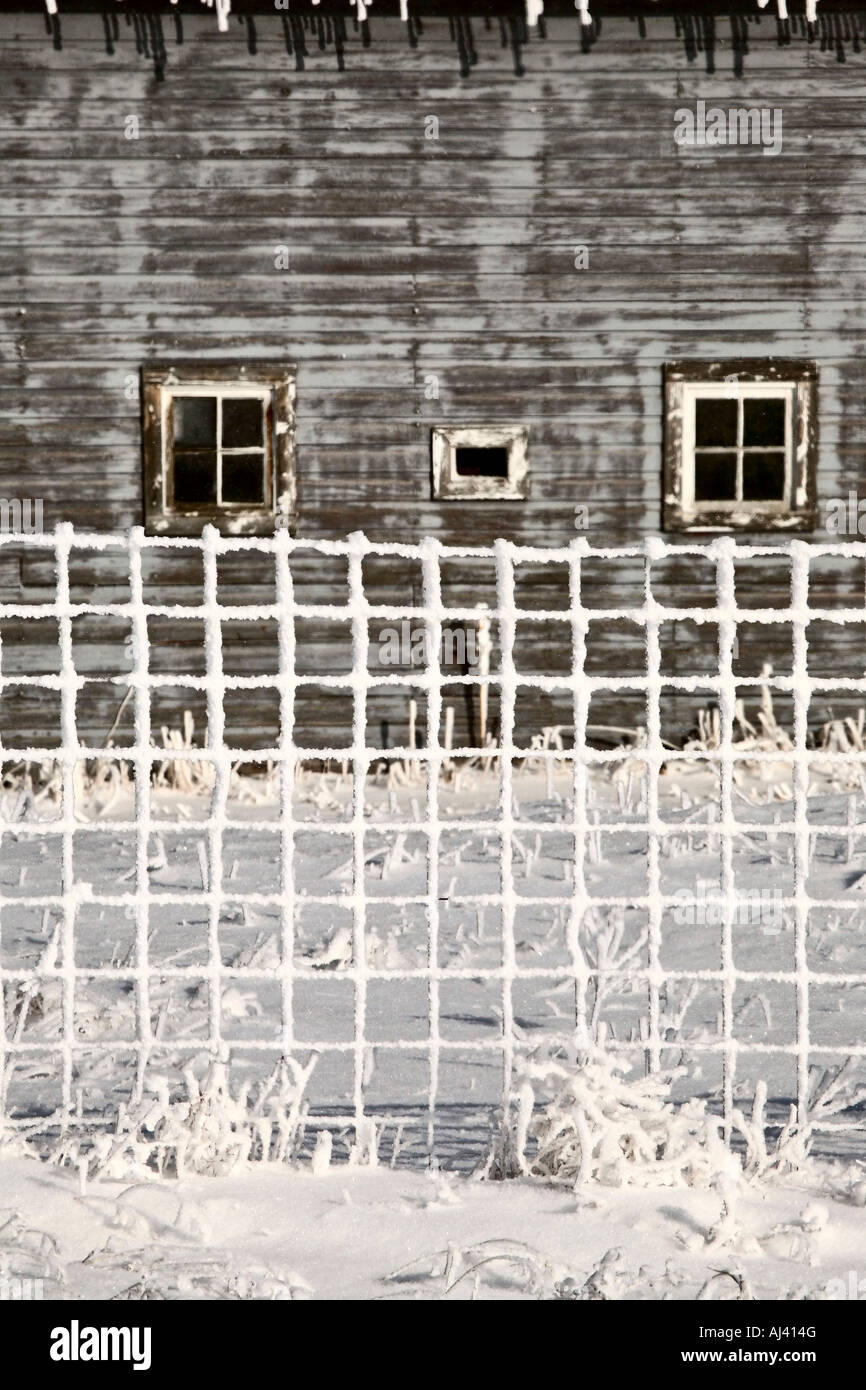 Saskatchewan winter scene Stock Photo - Alamy