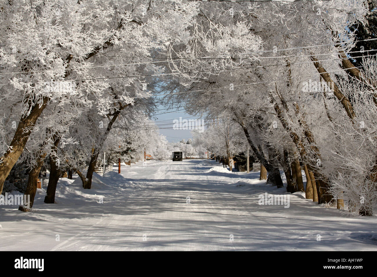 Saskatchewan winter scene Stock Photo - Alamy