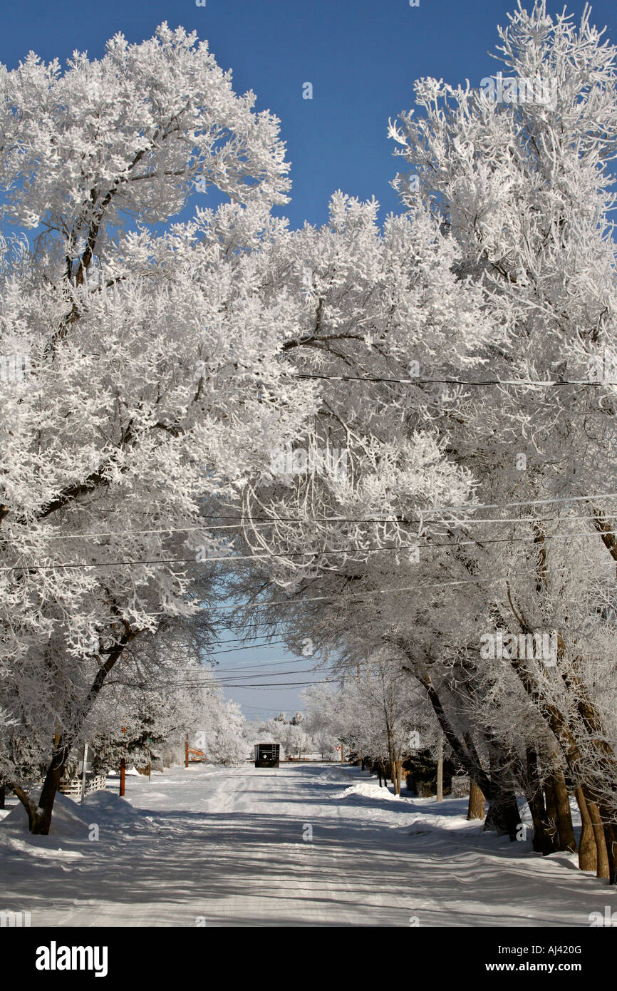 Saskatchewan winter scene Stock Photo - Alamy