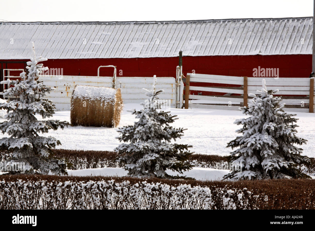 Saskatchewan winter scene Stock Photo - Alamy