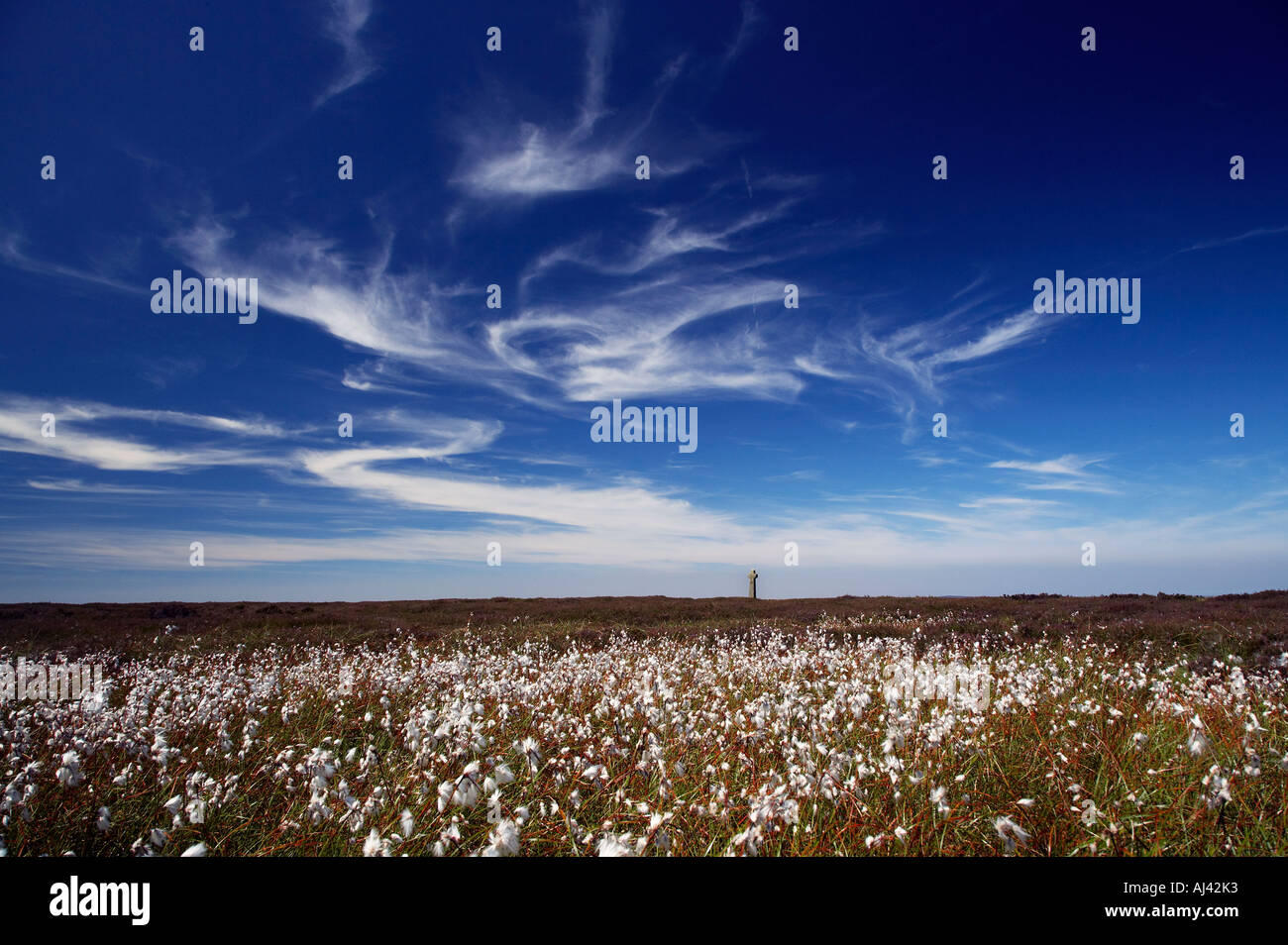 Old ralph cross hi-res stock photography and images - Alamy