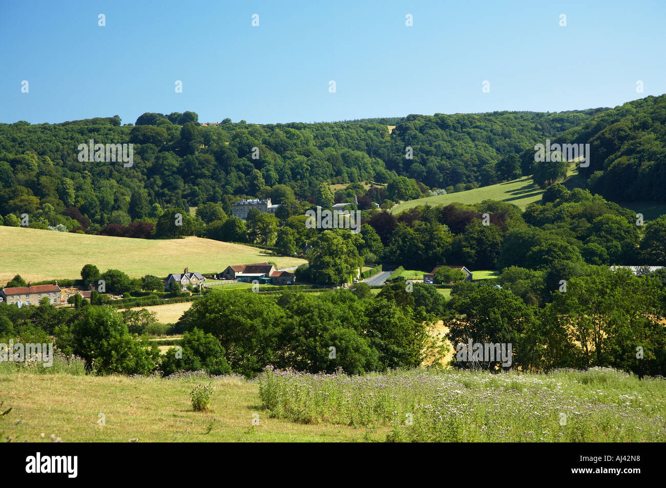 Hackness North York Moors National Park near Scarborough Yorkshire ...