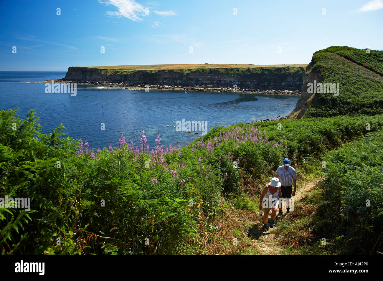 Cloughton wyke cleveland way long hi-res stock photography and images ...