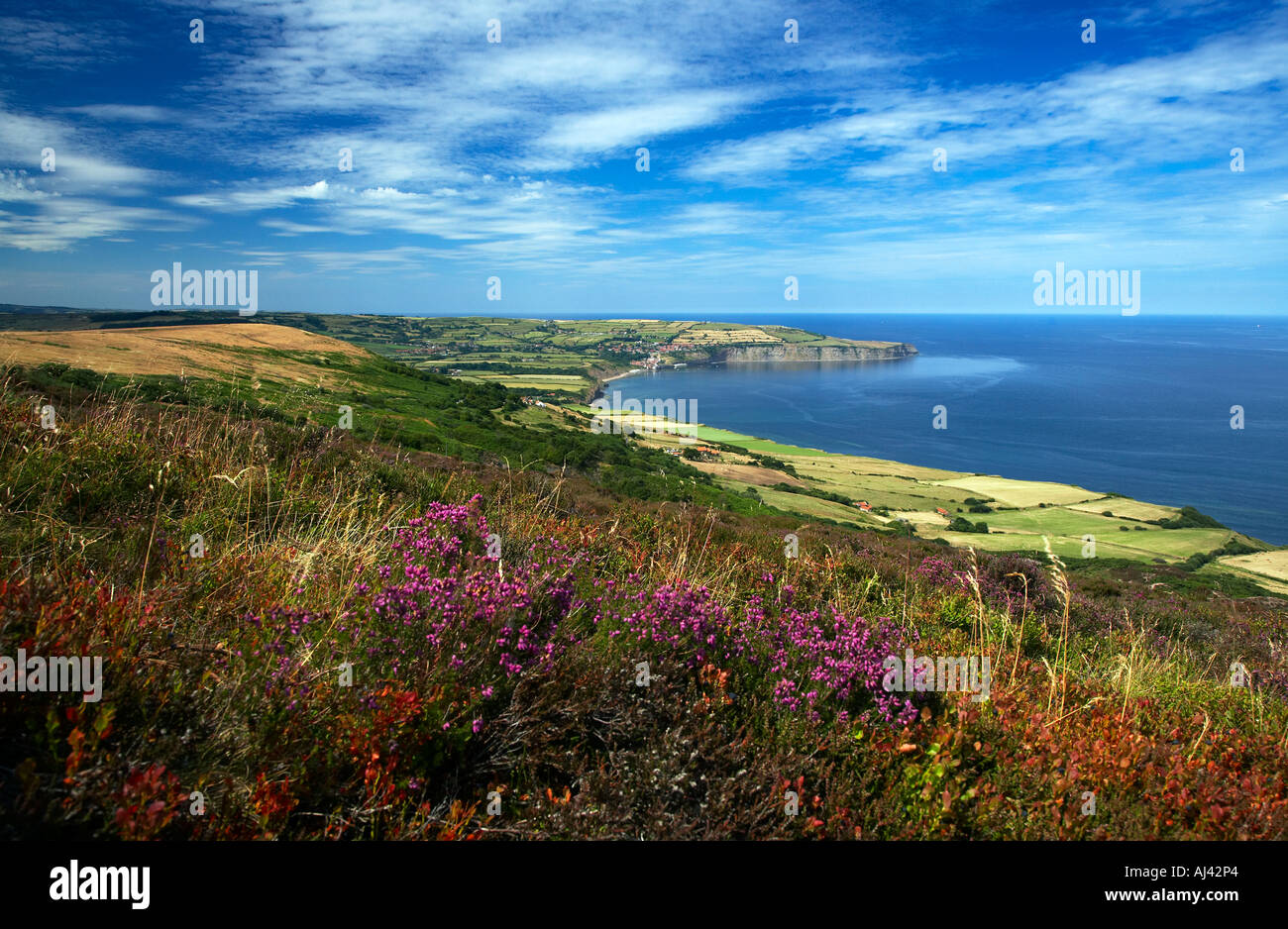 Robin Hoods Bay from Ravenscar North Yorkshire Coast Stock Photo - Alamy