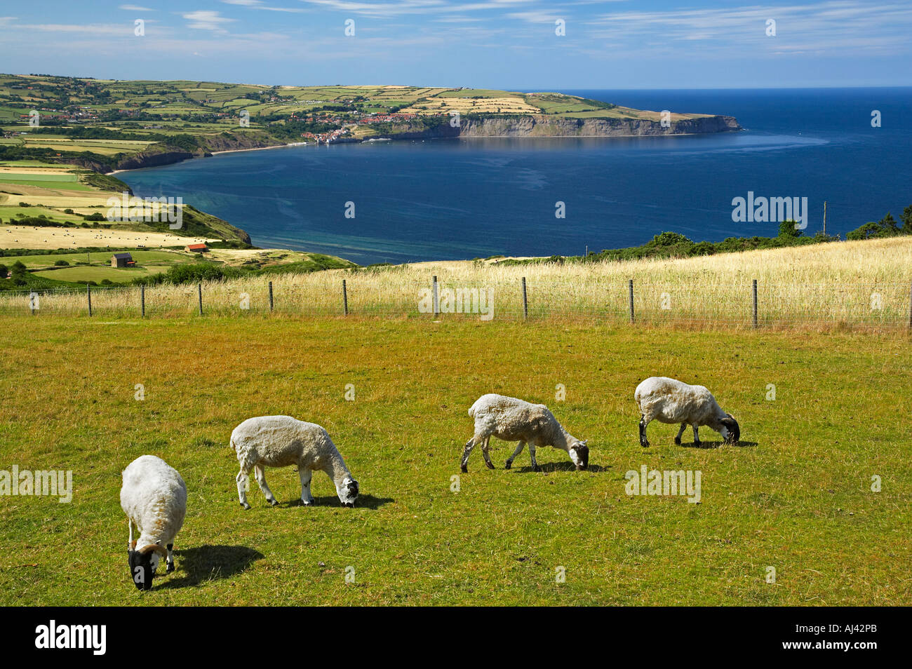 Robin Hoods Bay from Ravenscar North Yorkshire Coast Stock Photo - Alamy