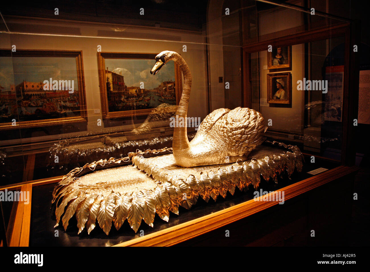 Silver swan hi-res stock photography and images - Alamy