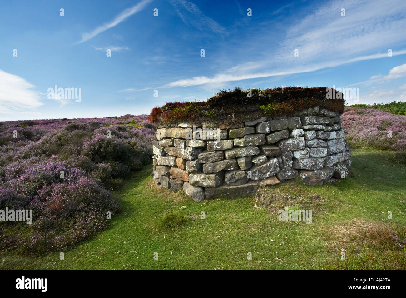 Grouse Butts Egton Moor North York Moors Yorkshire England Stock Photo ...