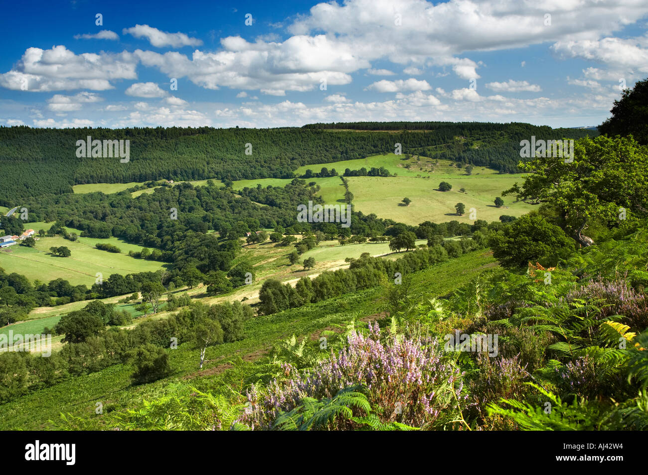 Bilsdale valley hi-res stock photography and images - Alamy