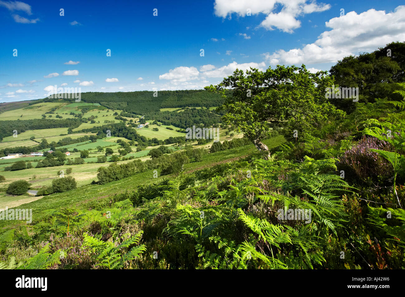 Bilsdale from Easterside Hill North York moors Yorkshire Stock Photo ...