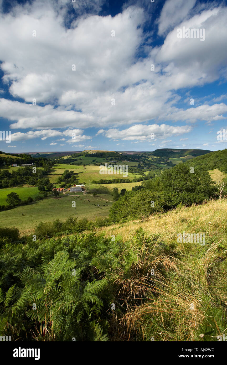 Middle moors hi-res stock photography and images - Alamy