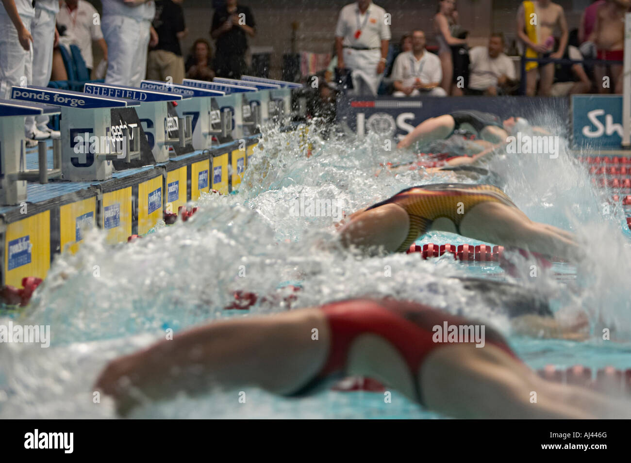 Woman backstroke swimming hi-res stock photography and images - Alamy
