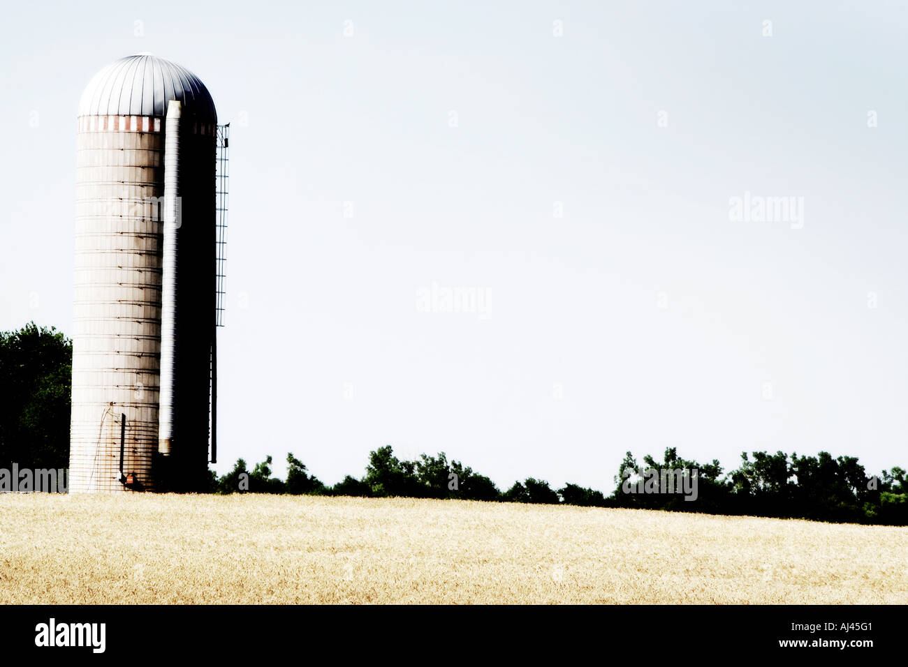 Soybean field storage silo grain hi-res stock photography and images ...