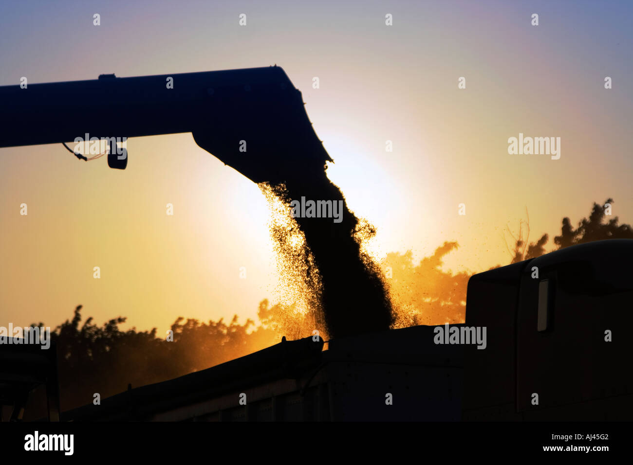 Combine harvester loads tractor hi-res stock photography and images - Alamy
