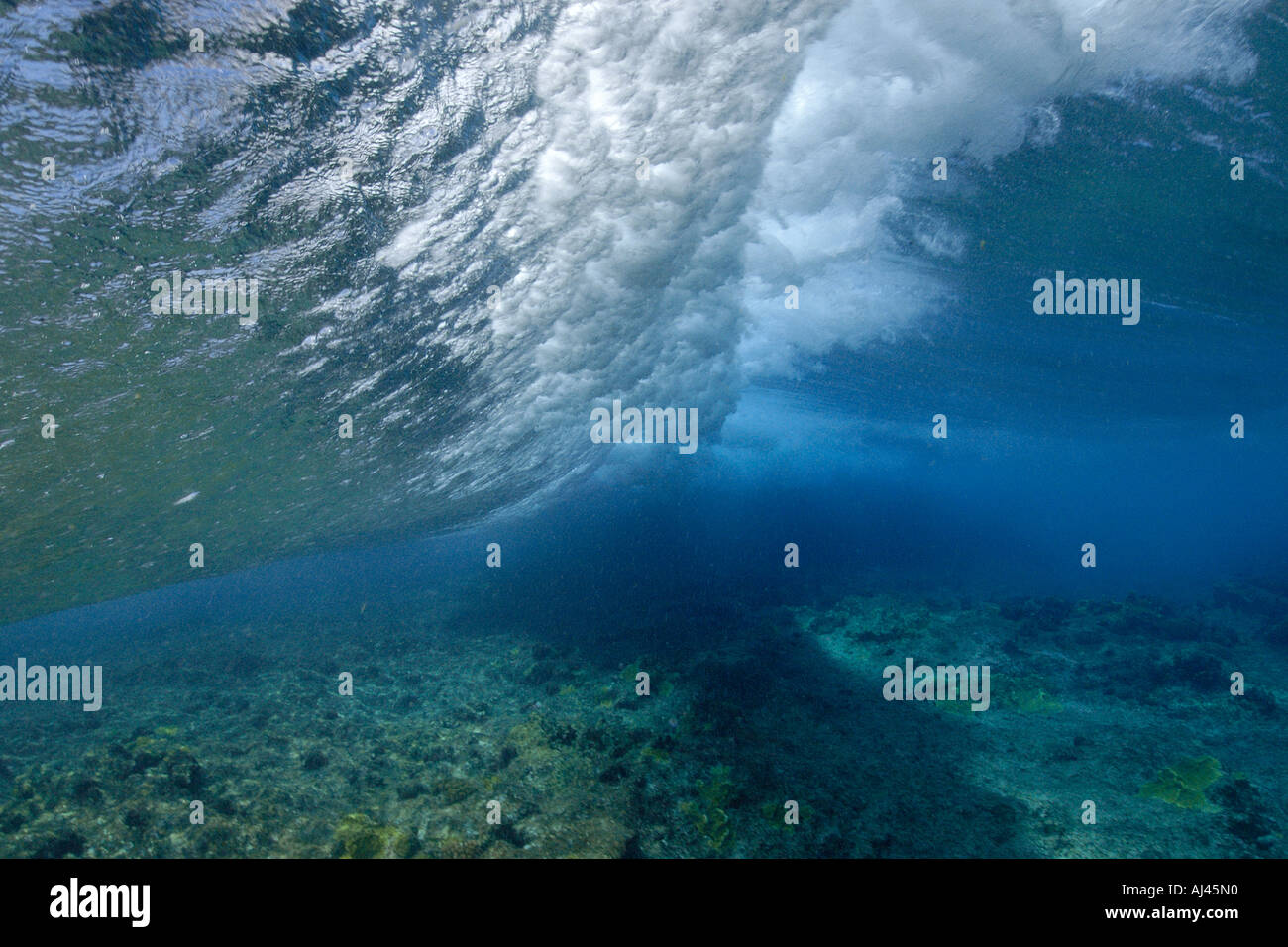 Breaking wave over coral reef hi-res stock photography and images - Alamy