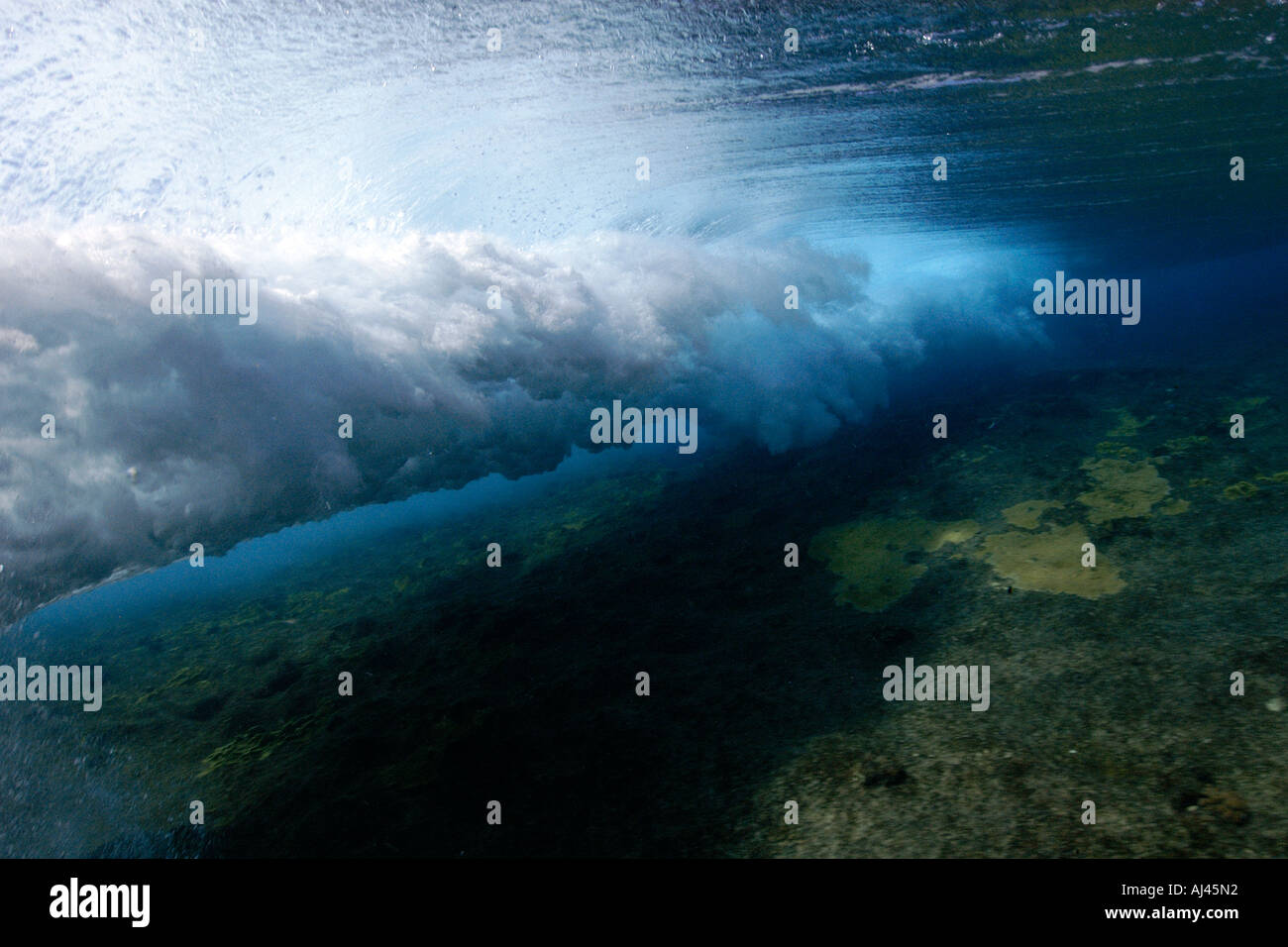 Breaking wave over coral reef hi-res stock photography and images - Alamy