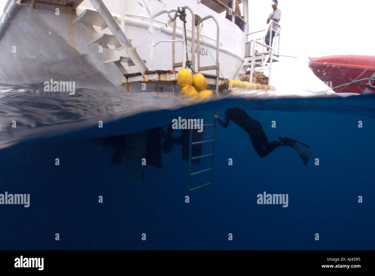 Diver at the stern of the live aboard vessel Oleanda Ailuk atoll ...