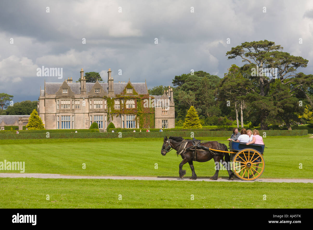 Jaunting Cars at Muckross House Killarney County Kerry Ireland Stock ...