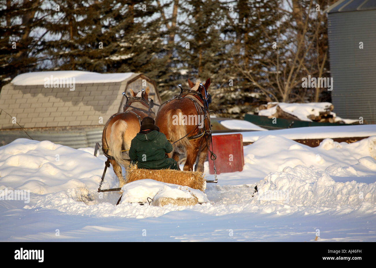 Horse drawn sled hi-res stock photography and images - Alamy
