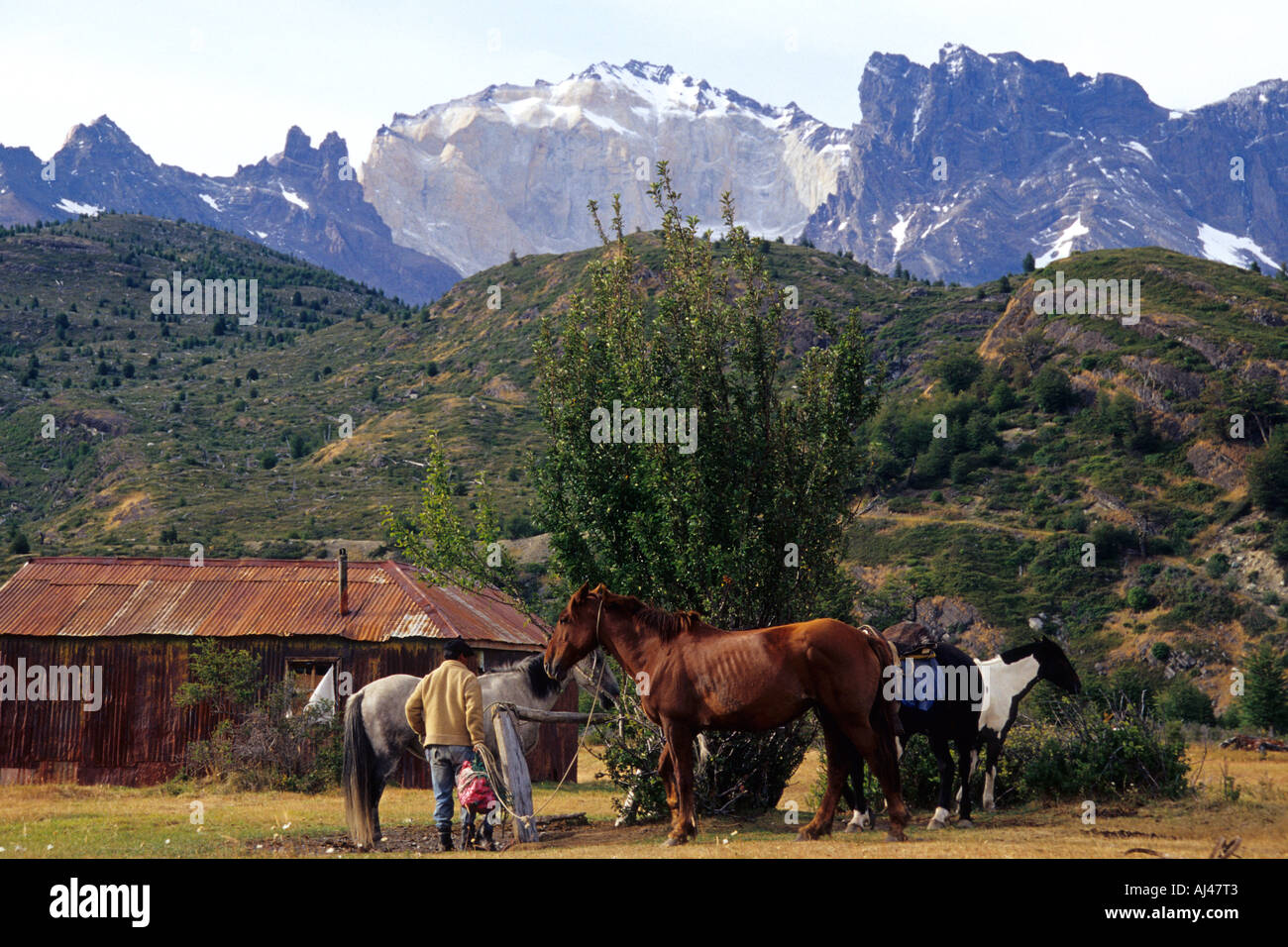 Gaucho chilean cowboy del paine hi-res stock photography and images - Alamy