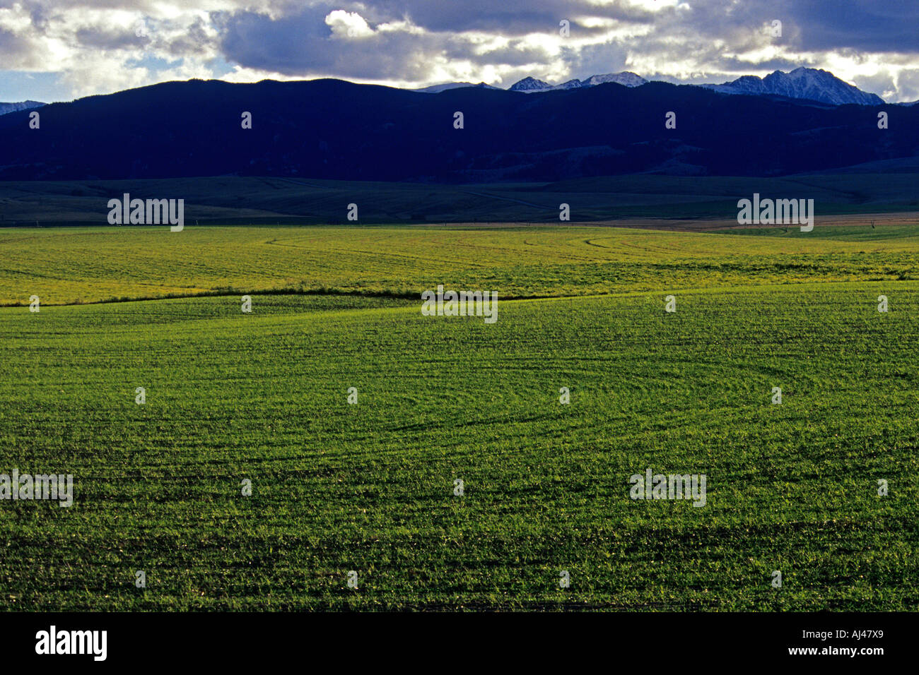 Recently planted fields in Western Montana Stock Photo - Alamy