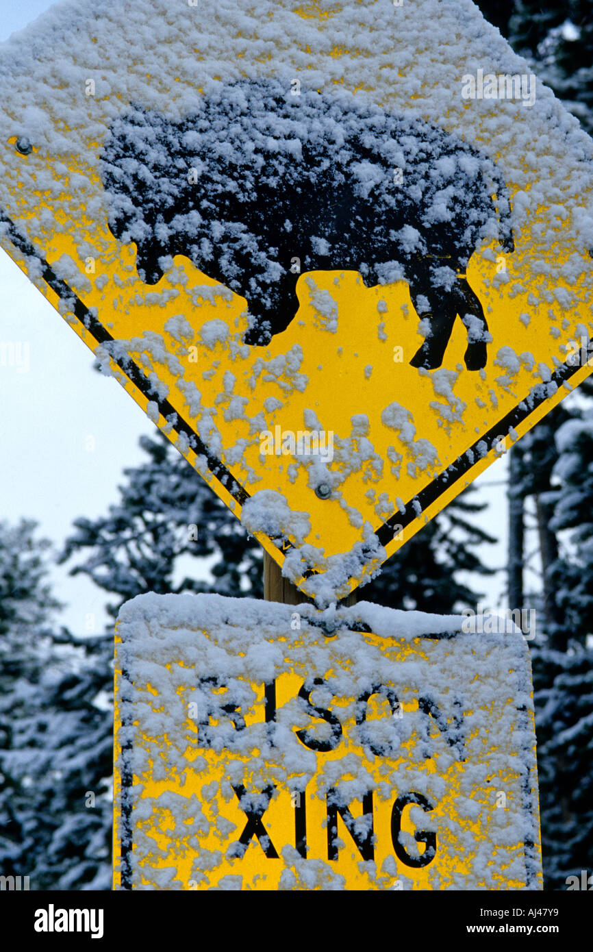 Bison Crossing Sign, West Yellowstone near national park entrance ...