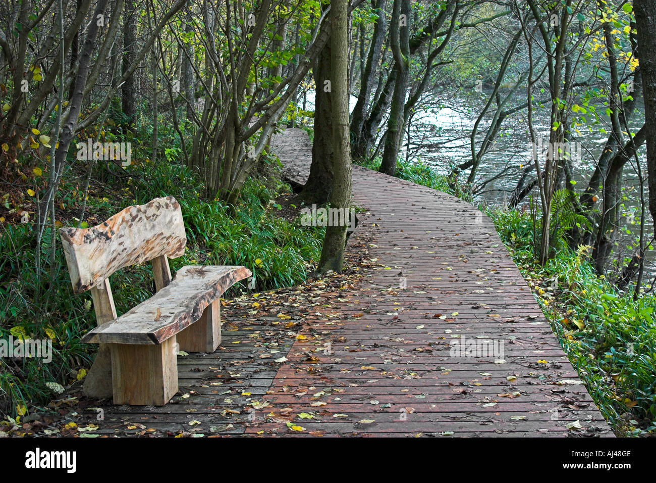Wooden riverside boardwalk and bench along side River Clyde at New ...