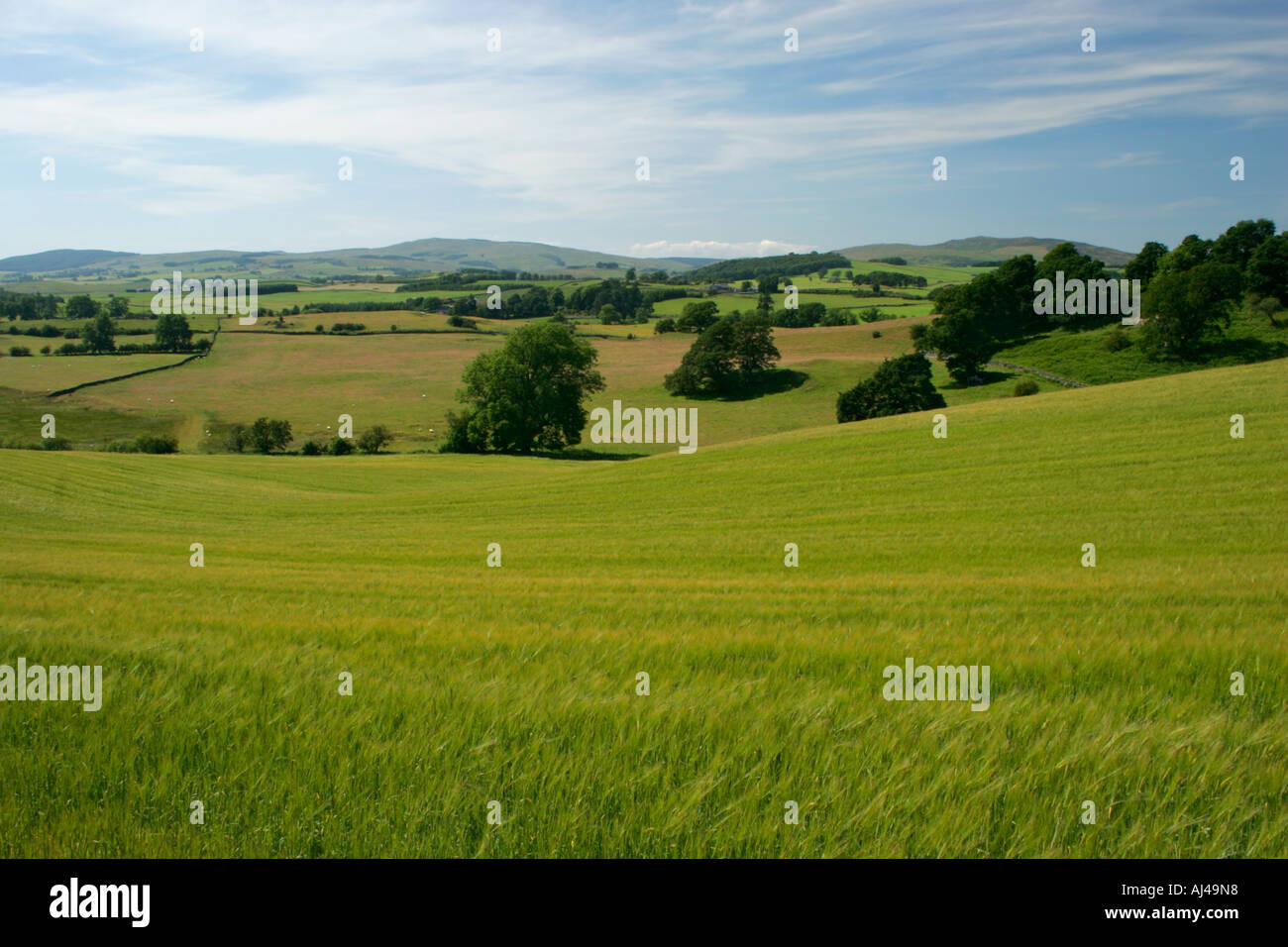 Uk july countryside hi-res stock photography and images - Alamy