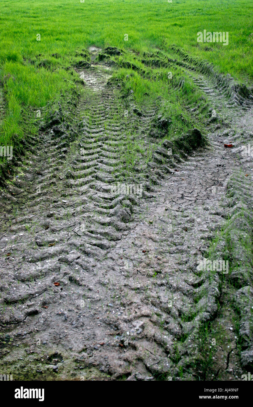 Soil erosion farm hi-res stock photography and images - Alamy