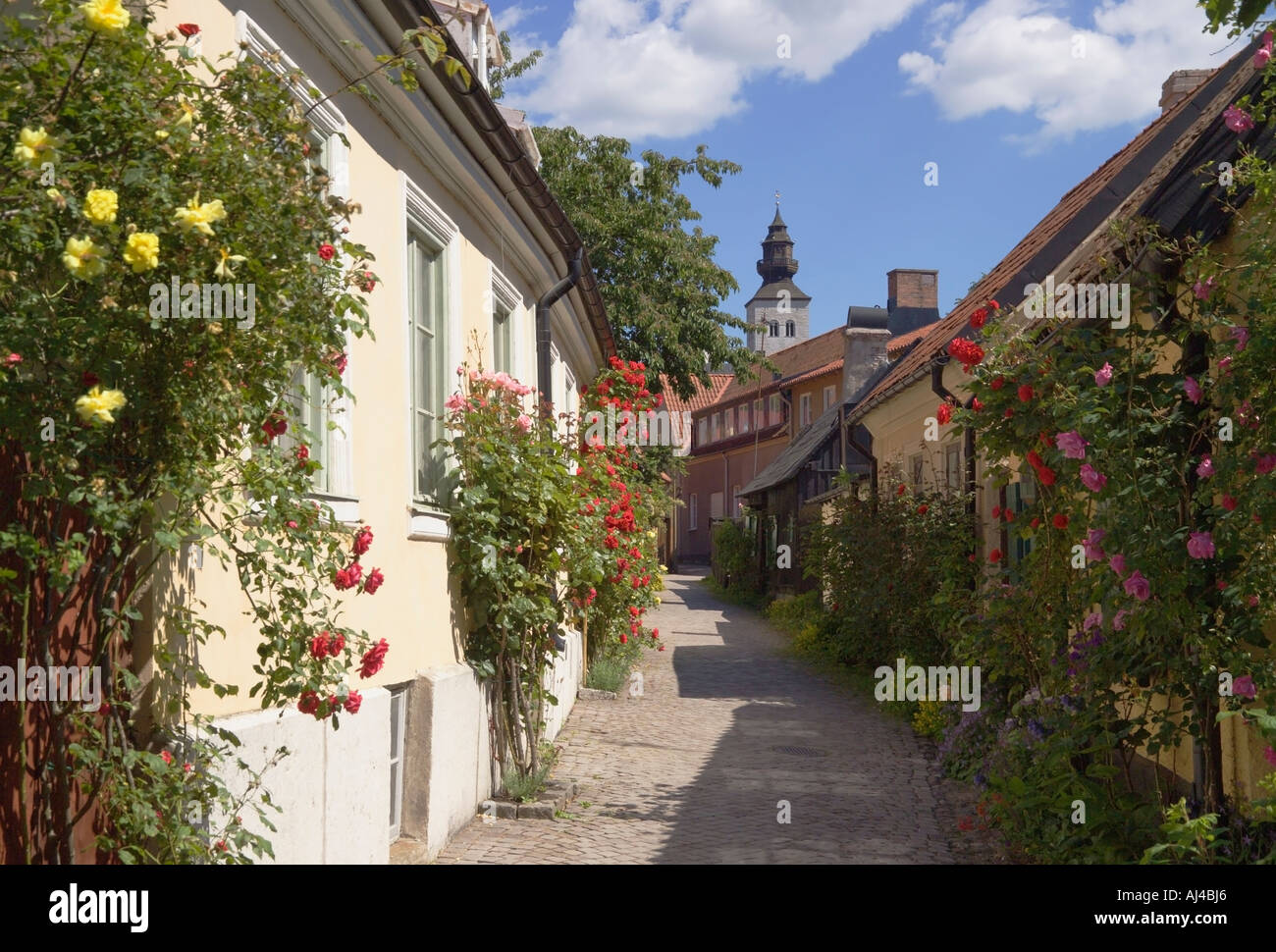 Cobbled lane and Houses Visby Gotland Sweden Stock Photo: 8352869 - Alamy